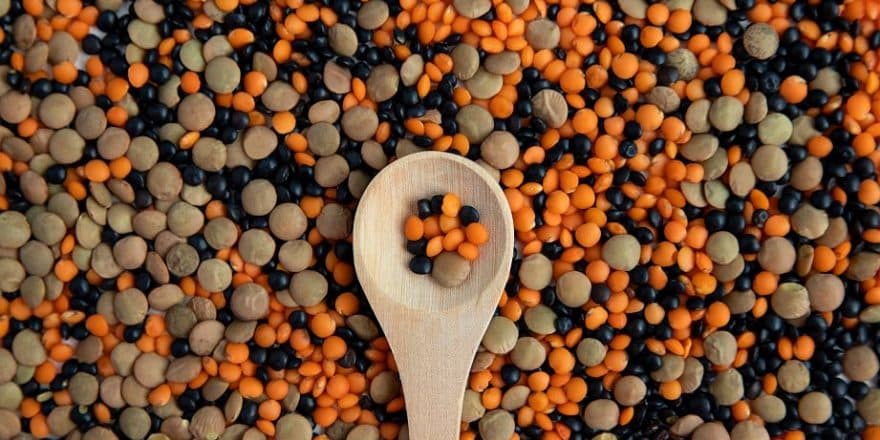 Chinese Organic Lentils: High Prices for New Crop Products - Commodity ...