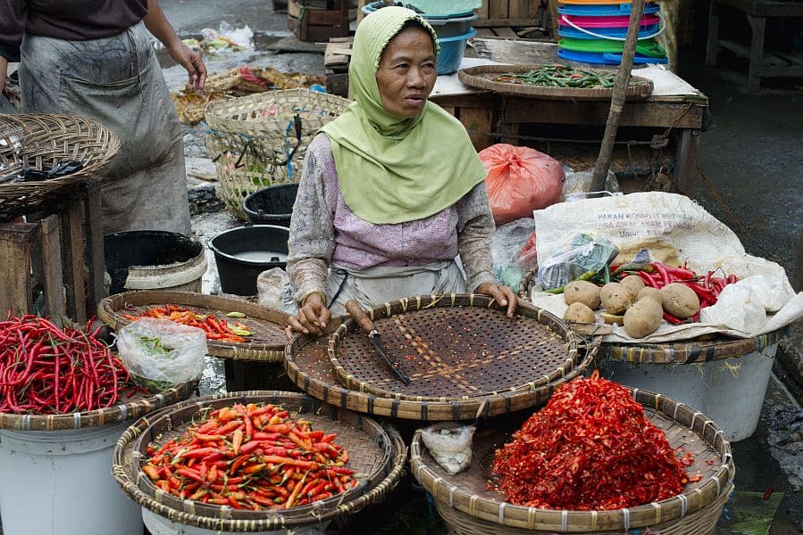 Chilli India: Chilli in demand - Commodity Board Europe GmbH