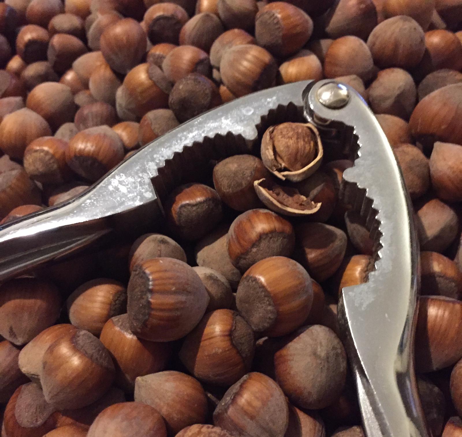 Local Frost Damage Expected in Turkish Hazelnut Market - Commodity ...