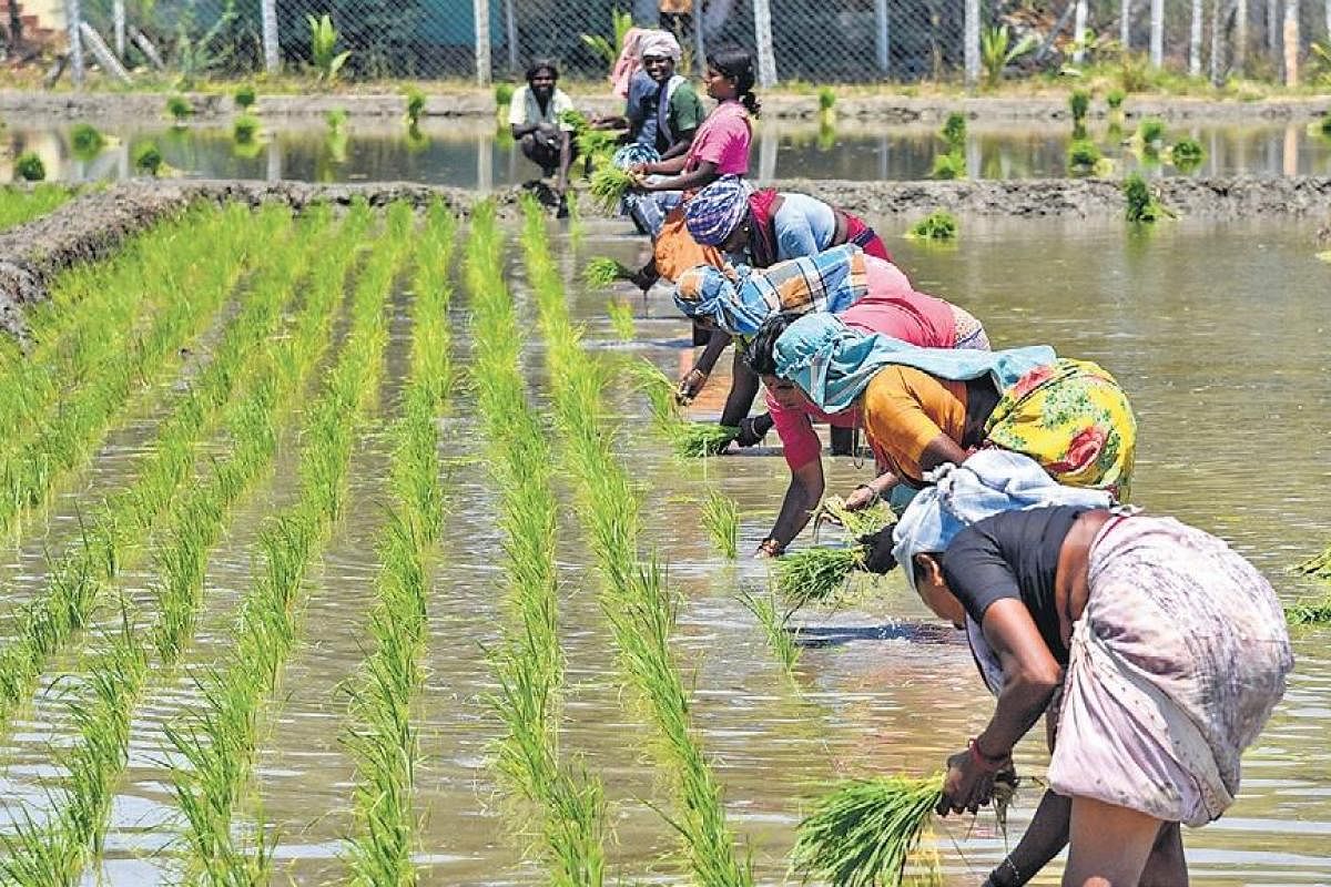 Rural demand in India is expected to get $ 170 Billion boost from ...