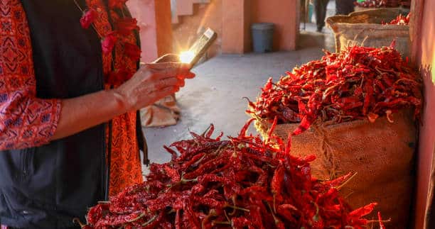 Indian Chilli Prices Stay Firm With Good Demand - Commodity Board ...