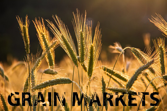 Grain Markets: Confirmed Heavy Rainfall in Argentina and Brazil