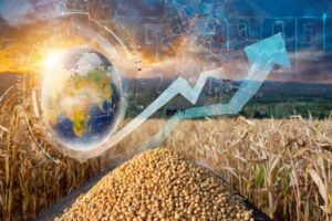 IGC Forecasts Record Global Grain Production for 2024/25 Marketing Year ...
