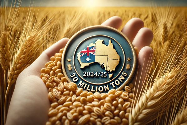 StoneX Raises Australia's Wheat Production Forecast - Commodity Board ...