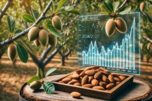 Almond Market Update: Early Harvest Indicators and Market Trends for 2024/2025 - Commodity Board ...