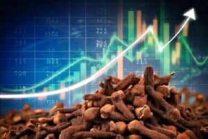 Clove Production Reduced by 30%, Leading to Price Surge in India ...