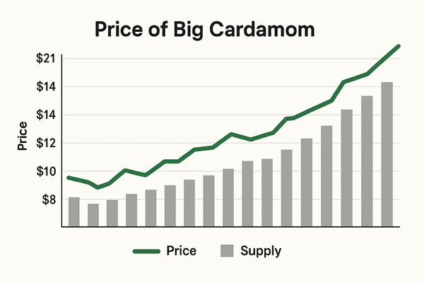 Cardamom Market Analysis: Prices Firm as Supply Tightens | May 2025
