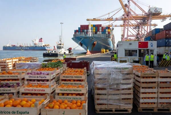 Spain’s Fresh Produce Exports to China Continue Sharp Decline in 2025 ...